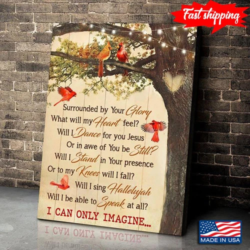 Beautiful Cardinals Mercyme I Can Only Imagine Lyrics Surrounded By ...