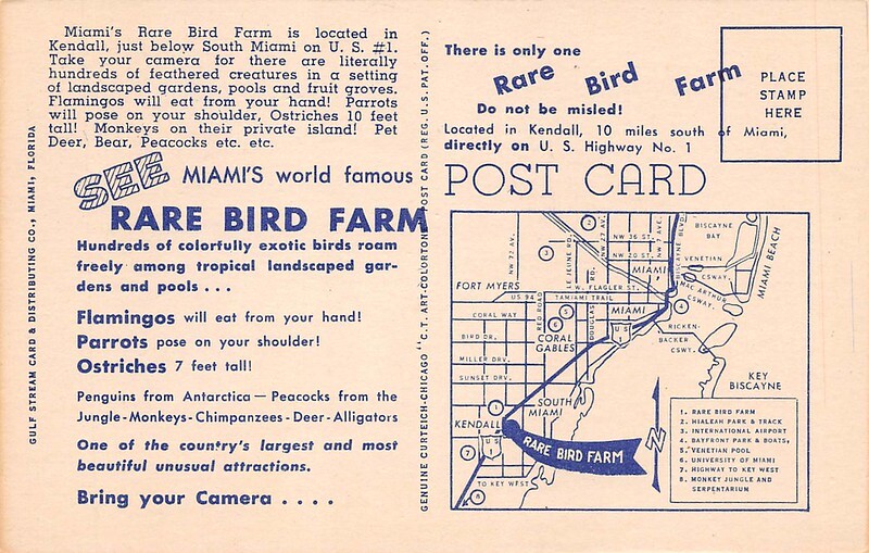 DC-267 Advertising Rear Postcard Rare Bird Farm Miami Fl Parrots | eBay