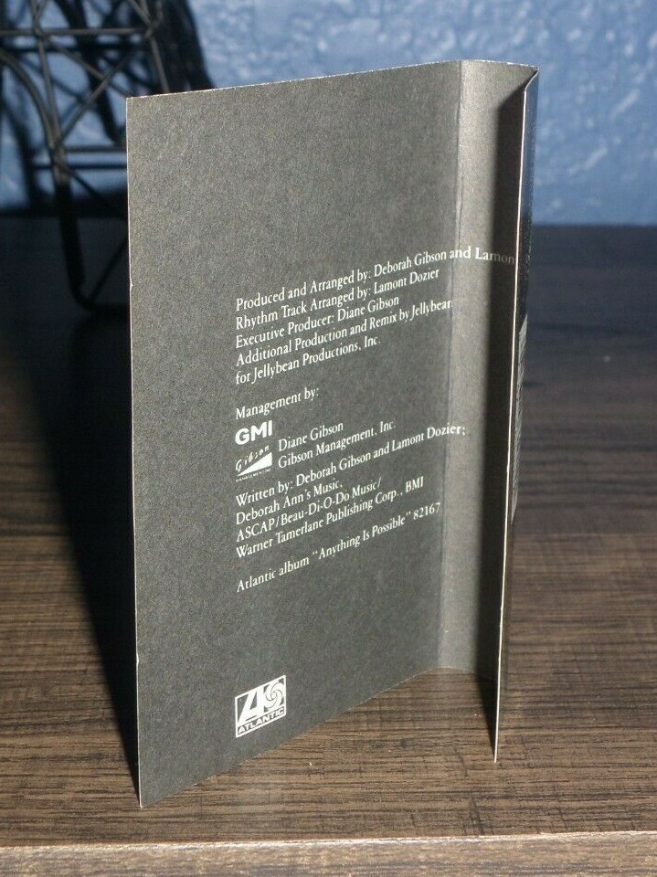 Debbie Gibson Anything Is Possible Album