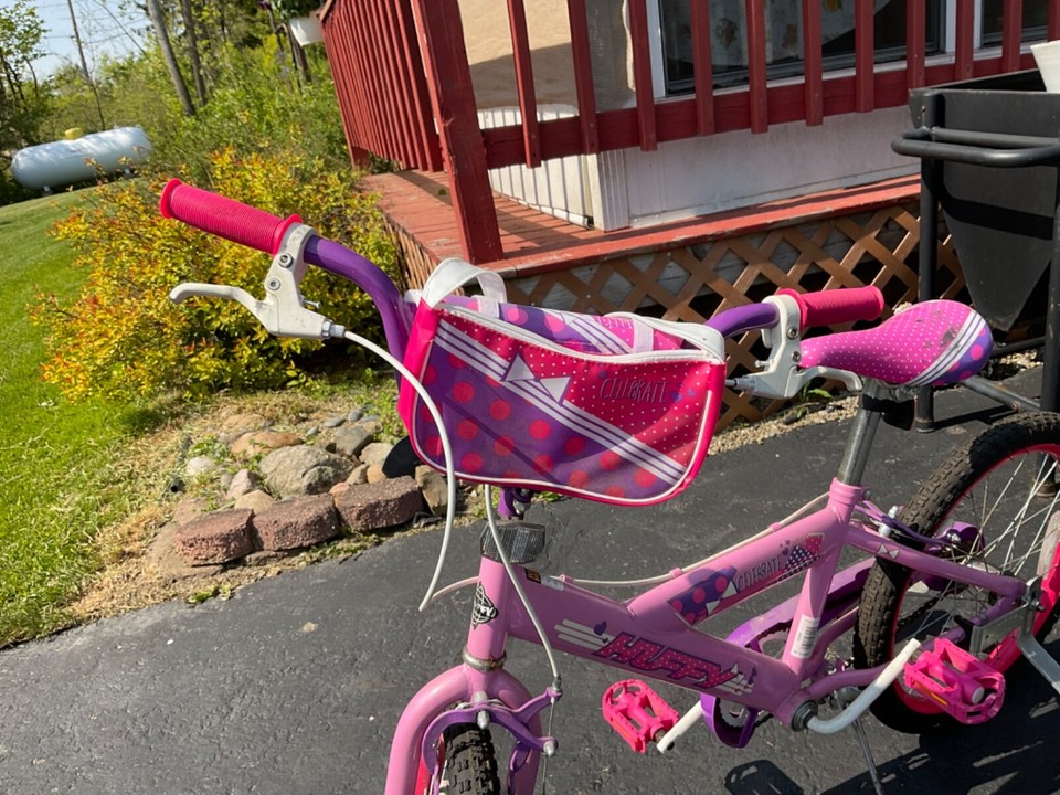 Huffy Girls Pink 20" Celebrate Bike with Front Handbrake and Training ...