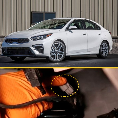 Front Turn Signal Socket LH/RH Fit 2019-2021 Kia Fitte 92164-M7000 ...