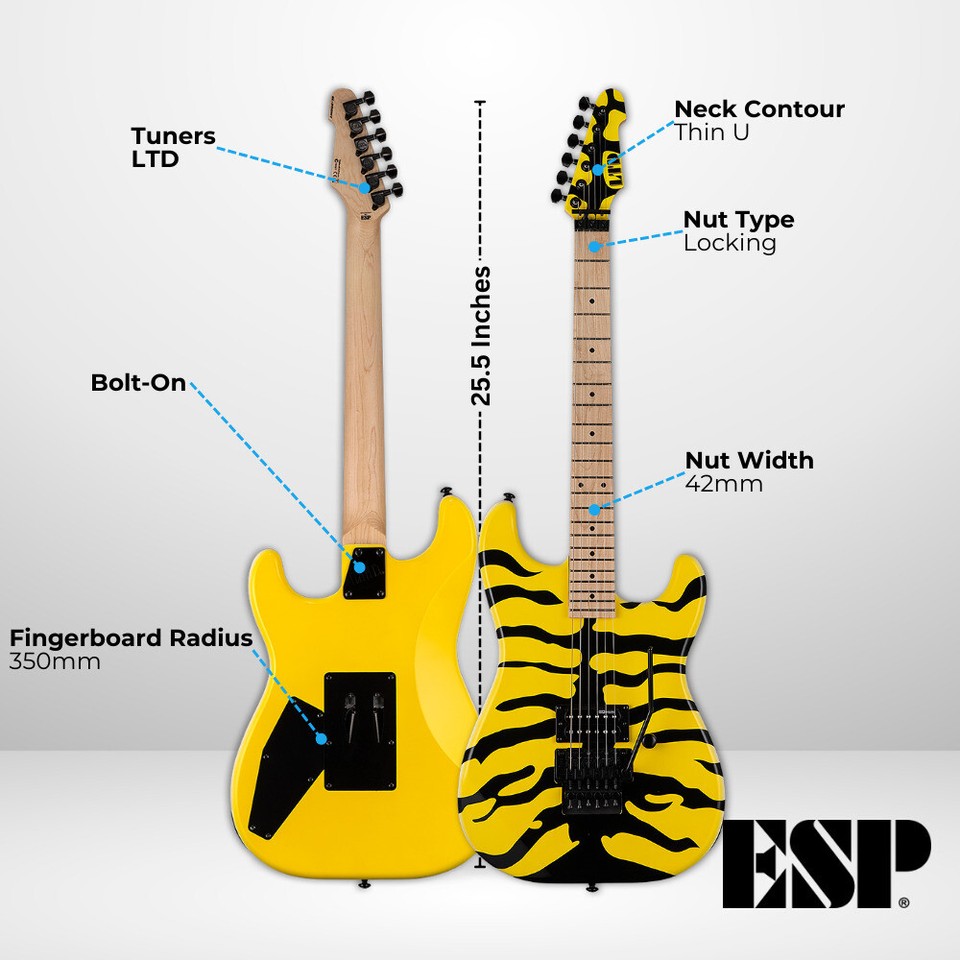 ESP LTD George Lynch GL 200MT 6 String Tiger Strip Electric Guitar ...