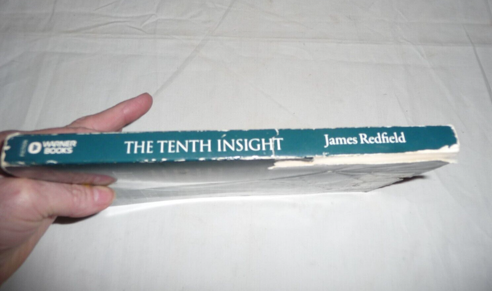 The Tenth Insight: Holding the Vision (Celestine Prophecy) - Paperback ...