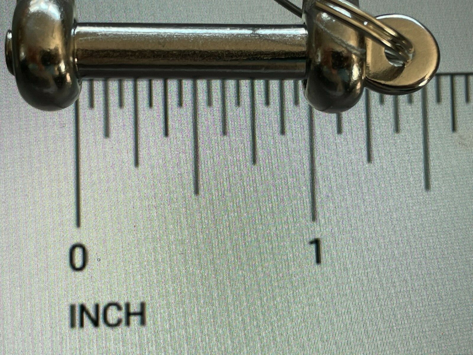 Wide D Shackle 1 inch Stainless Steel Screw Pin Fastener with Ring ...