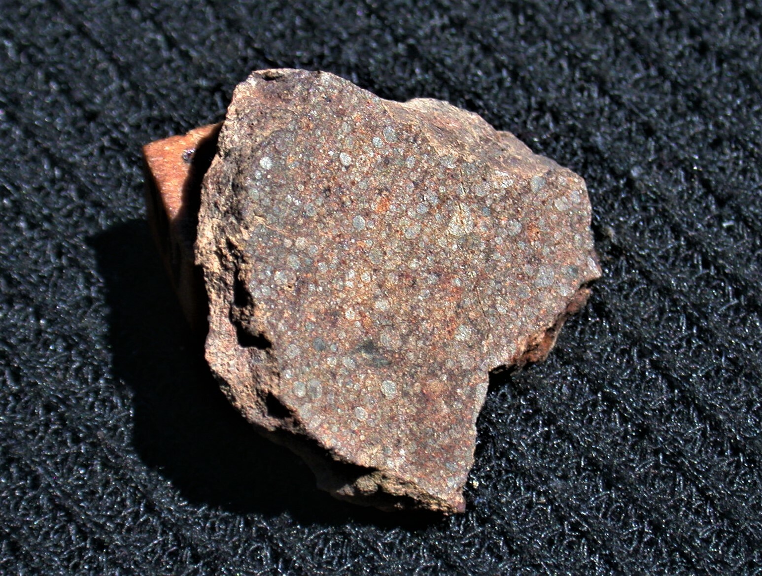 NICE! "Possible" LL3 (6.9 g) NWA xxx Chondrite Meteorite Part Slice | eBay