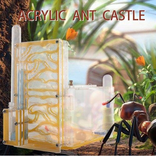 Ant House Ant Farm With Feeding Area Acryl Ant Moisture Nest Insect ...