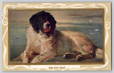 Old Dog Tray Newfoundland Distinguished Member Humane Society Landseer ...