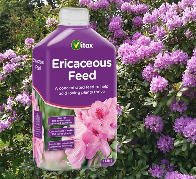 Vitax Ericaceous Feed Liquid Fertiliser Rhododendrons Azalea Camellias ...