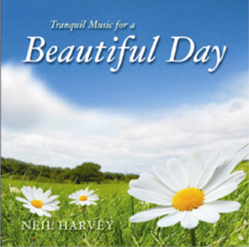 Beautiful Day (CD) Album 767715011225 | eBay