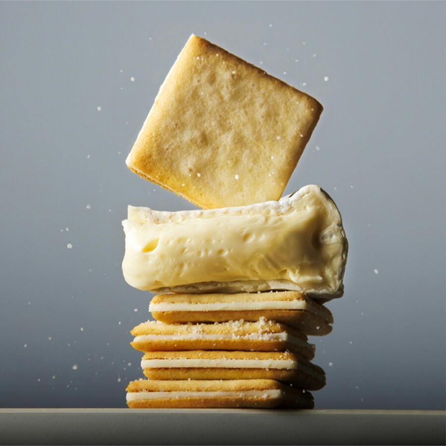 Tokyo Milk Cheese Factory Cookie Salt & Camembert Cookies 18pcs Gift ...