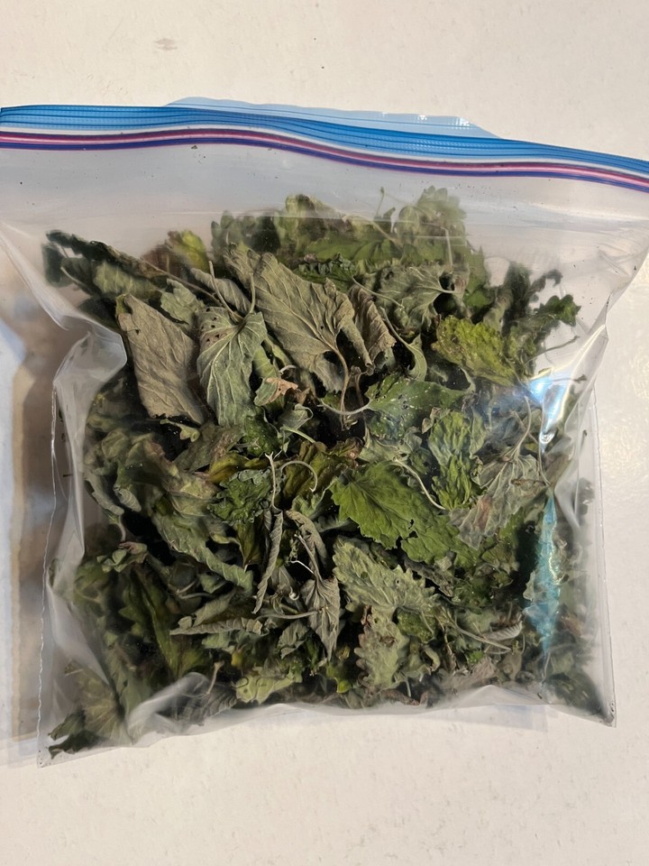 Dried Catnip whole leaf, LARGE, 1 oz dry weight, approx. Low Grade ...