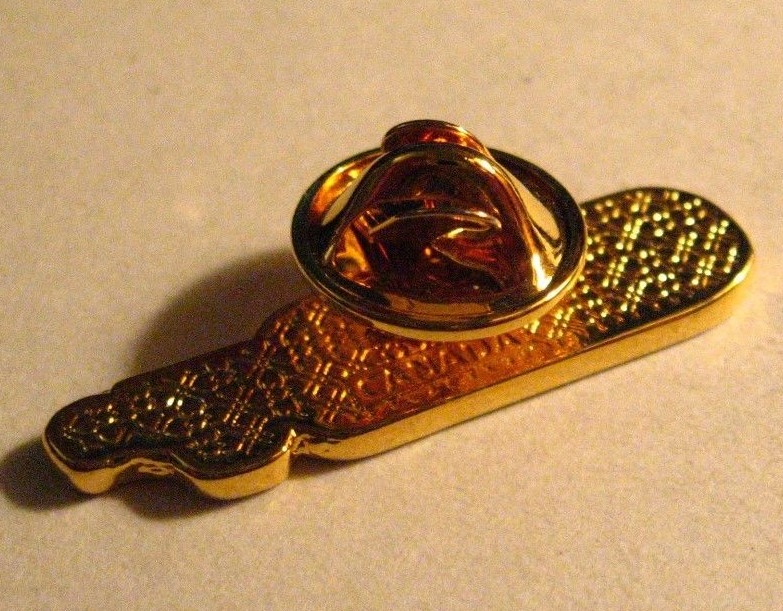 CheckFreePay Lapel Pin - Online Bill Payment Check Free Pay Agent ...