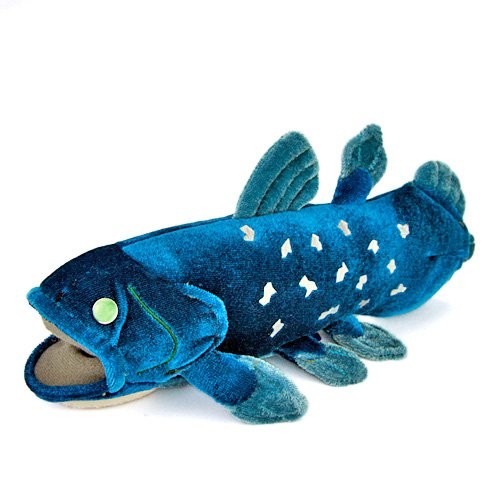 COLORATA Coelacanth Plush toy size S 24x11x10.5cm Ancient Fish 976692 ...