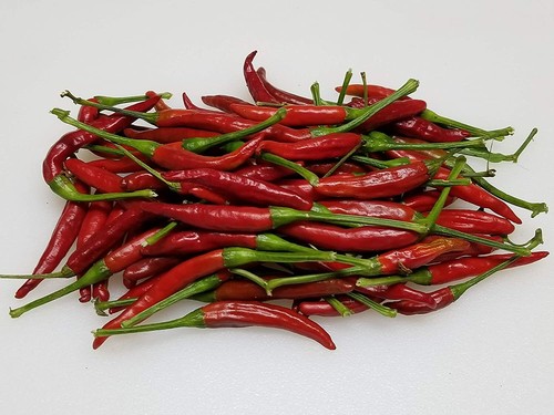 3x Pepper Hot Chilli F1 'Thai Dragon' Plug Plants Vegetables - End of ...