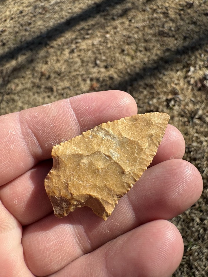 Ancient Authentic Arrowhead From NEMississippi With Very Fine Edgework | eBay