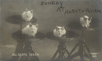 Rotograph Cat RPPC Postcard B-810 Kittens on Piano Stools, All Seats ...