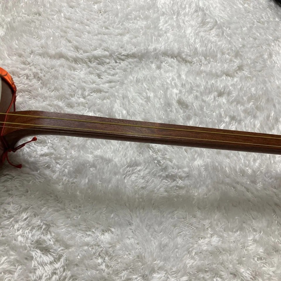 Chuzao Shamisen Japanese Traditional Musical Instrument w/Hard Case ...
