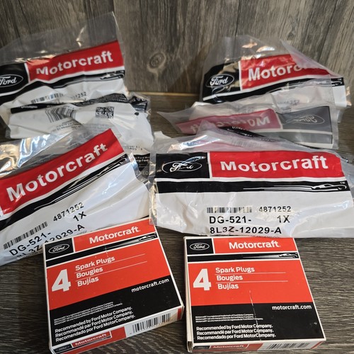 (8) Ignition Coils Brown Boot & 8 Motorcraft SP509 Spark Plugs for Ford ...