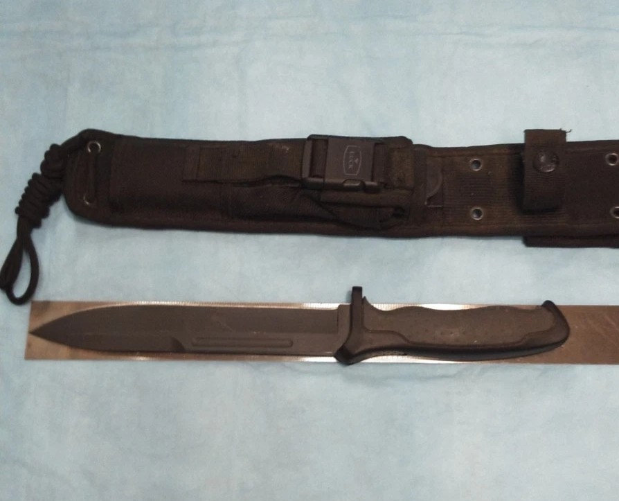 Hard To Find Buck 651 Pig Sticker | eBay