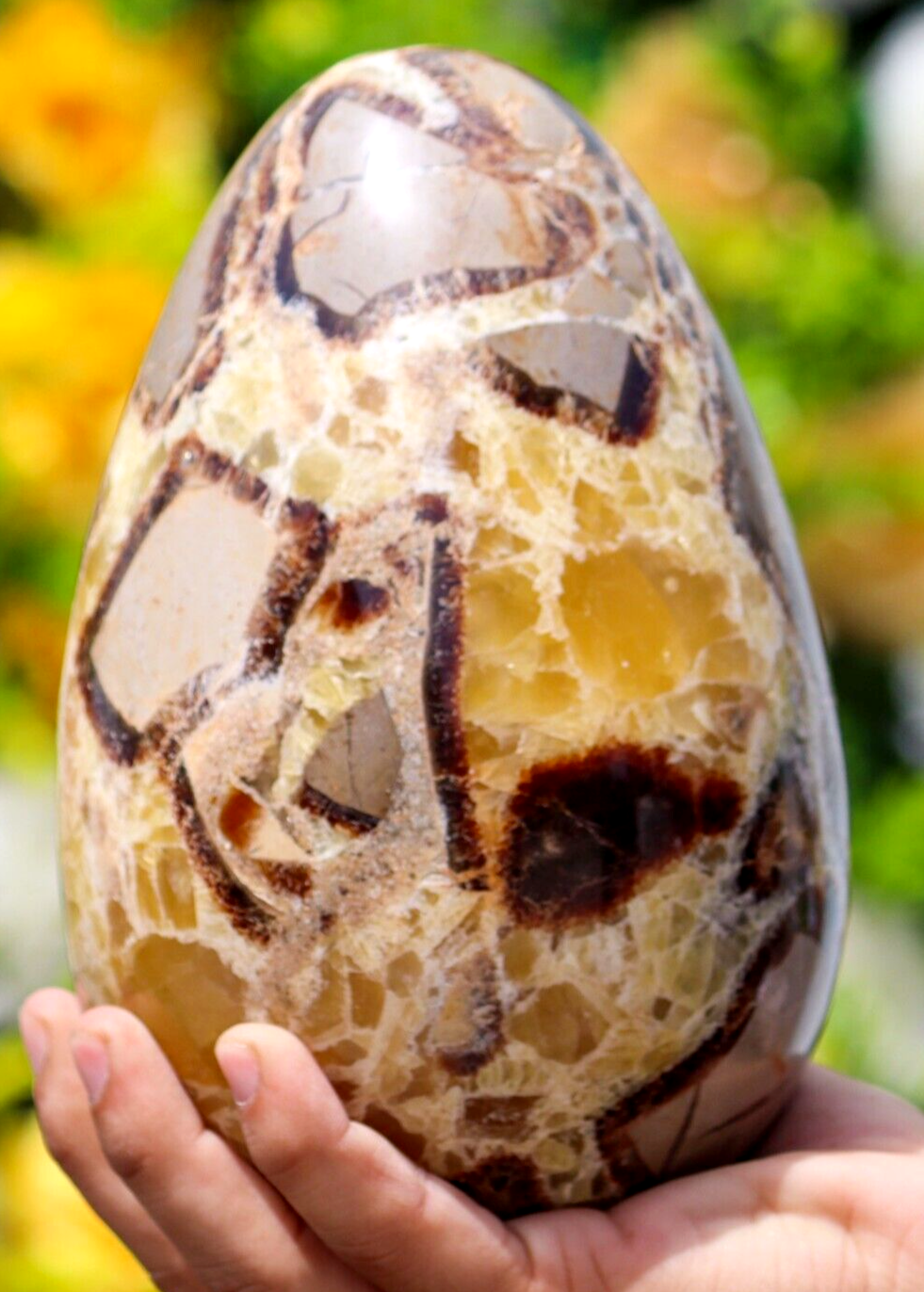 180MM Yellow Septarian Egg Septaria Septeyre Chakra Crystal Healing ...