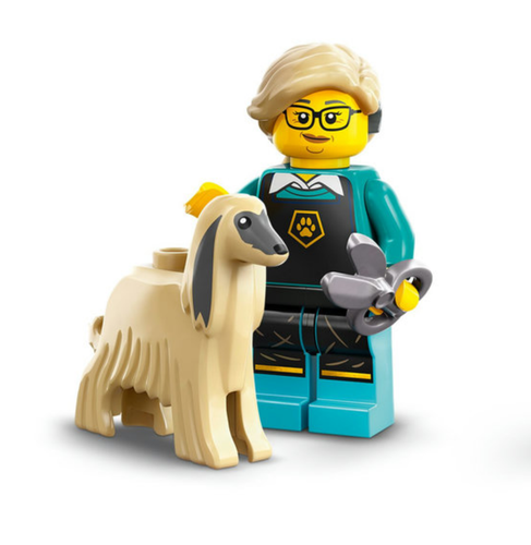 LEGO® Minifigures Serie 25 - 71045 "Pet Grooner" col25-12 NEU/NEW | eBay