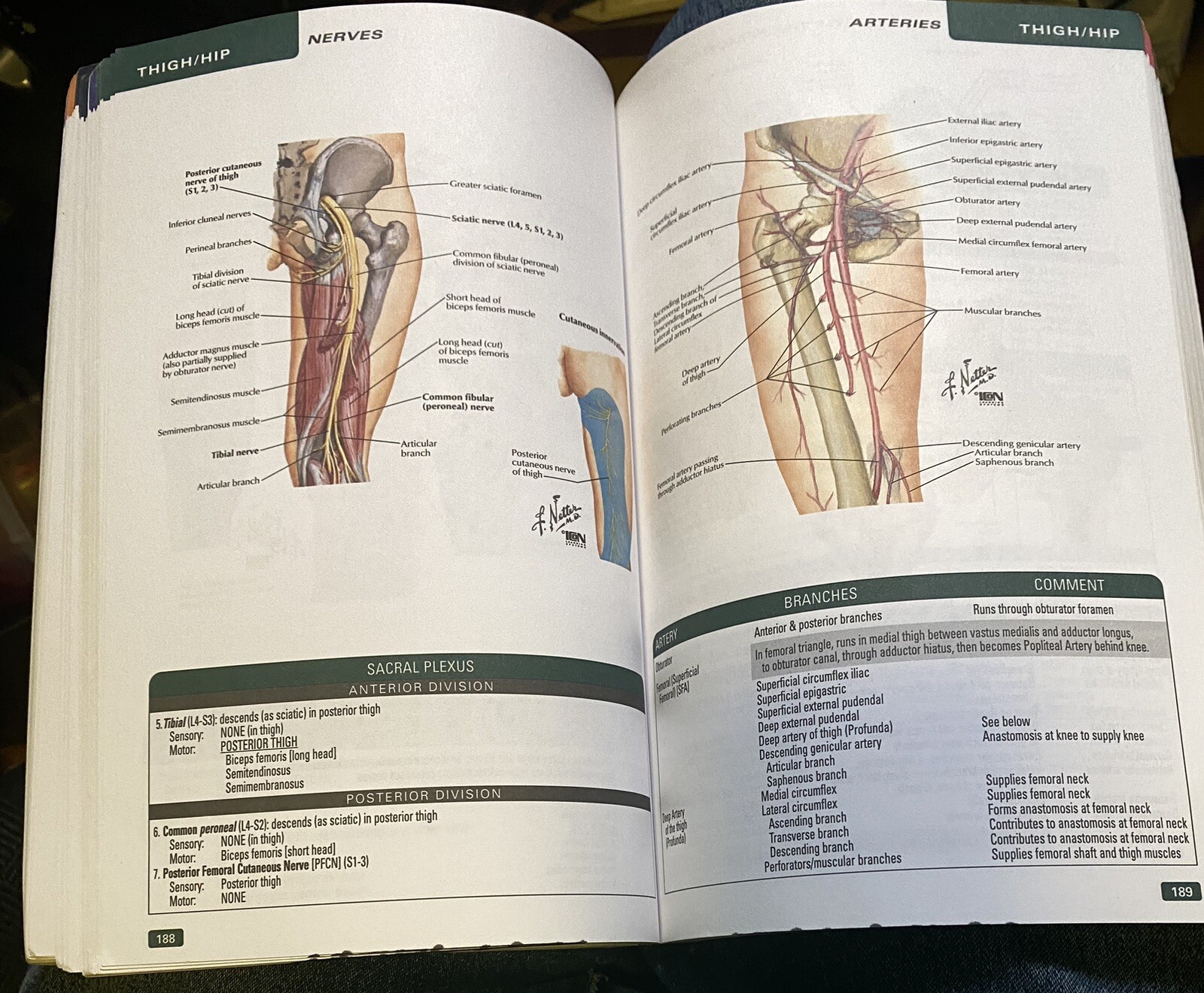 Netters Concise Atlas Of Anatomy