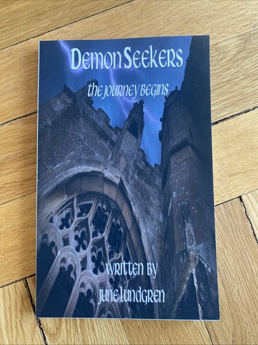 Demon Seekers : The Journey Begins by June Lundgren (2017, Trade ...