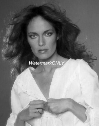 Beautiful SEXY Actress HOT Catherine Bach "Daisy Duke" "BUSTY" PHOTO ...