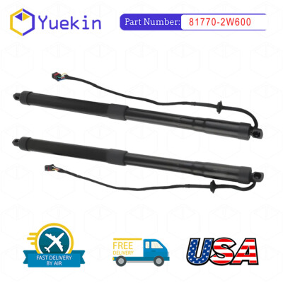 2X Rear Tailgate Power Lift Support For Hyundai Santa Fe Sport 15-18 ...