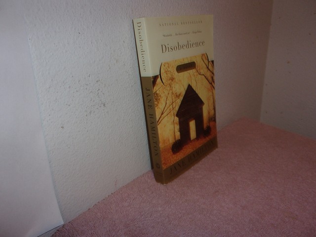 Disobedience : A Novel by Jane Hamilton (2001, Trade Paperback) for ...