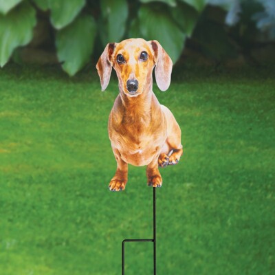 Photo Realistic Dachshund Puppy Dog Metal Yard Garden Stake | eBay