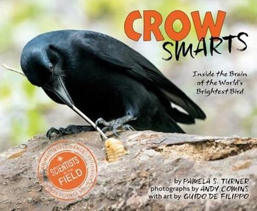Crow Smarts: Inside the Brain of the World's Brightest Bird by Pamela S ...