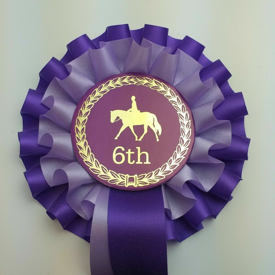 Horse Rosettes Individual Placing 2 Tier Rosettes 1st - 6th Place FREE ...