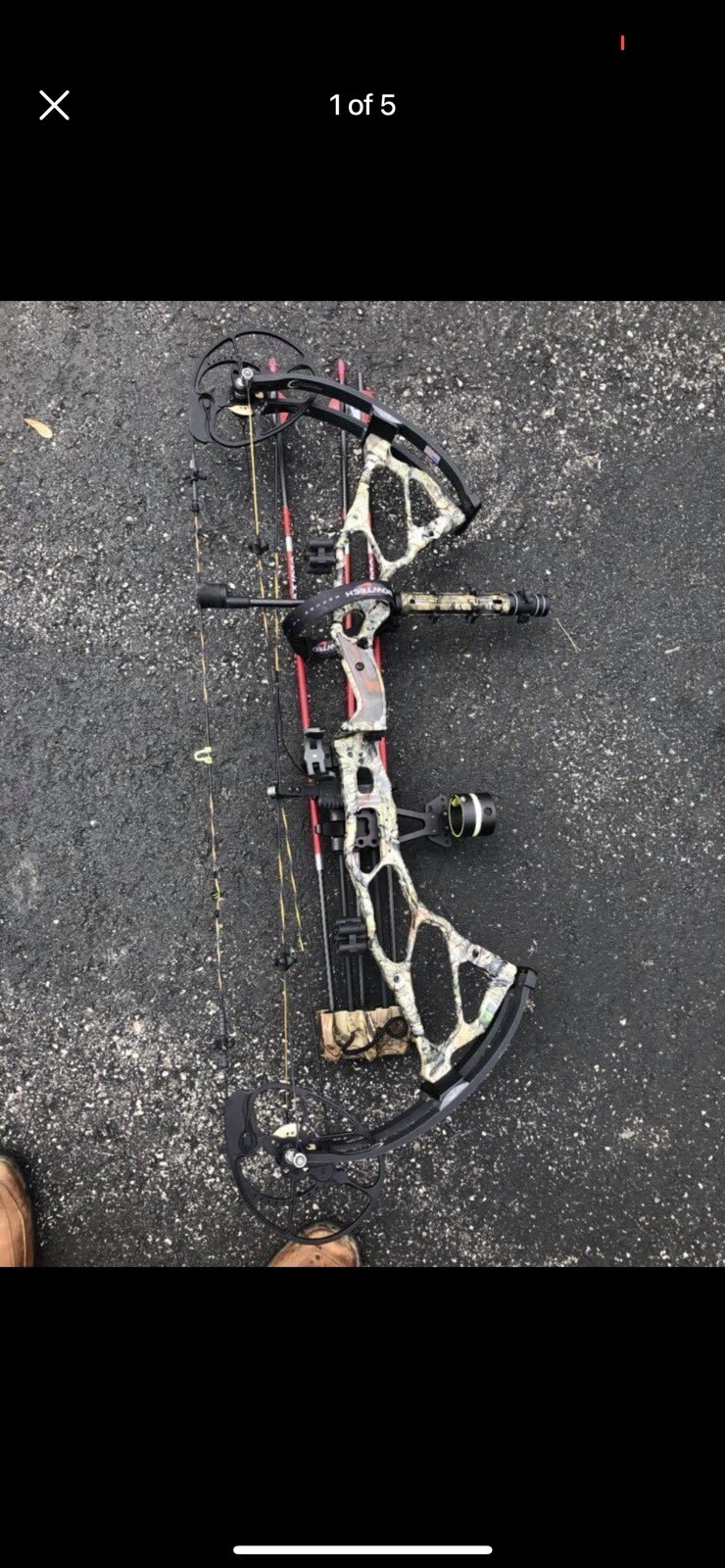 bowtech btx 31 | eBay