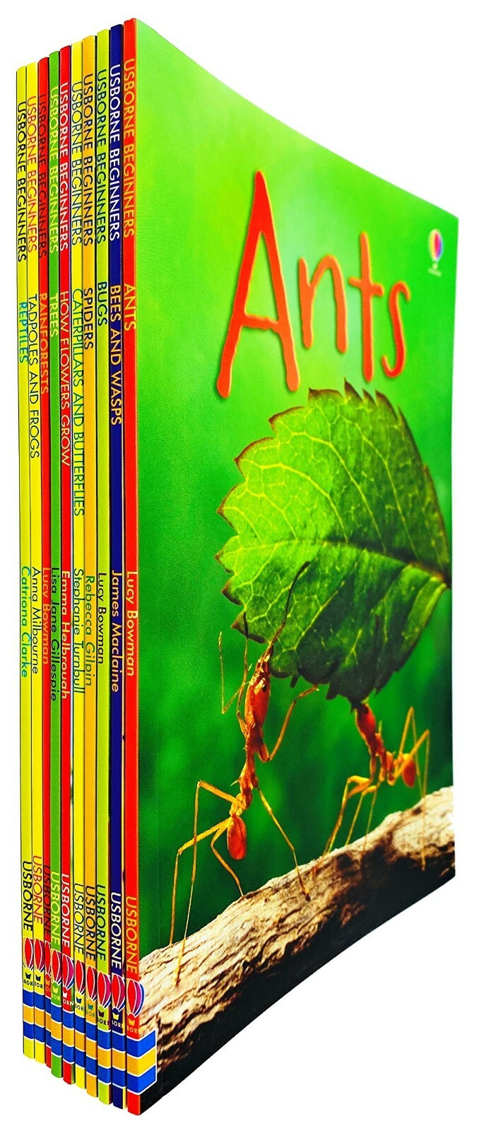 Usborne Beginners Nature 10 Books Set Ants, Bugs, Spiders, Tree ...