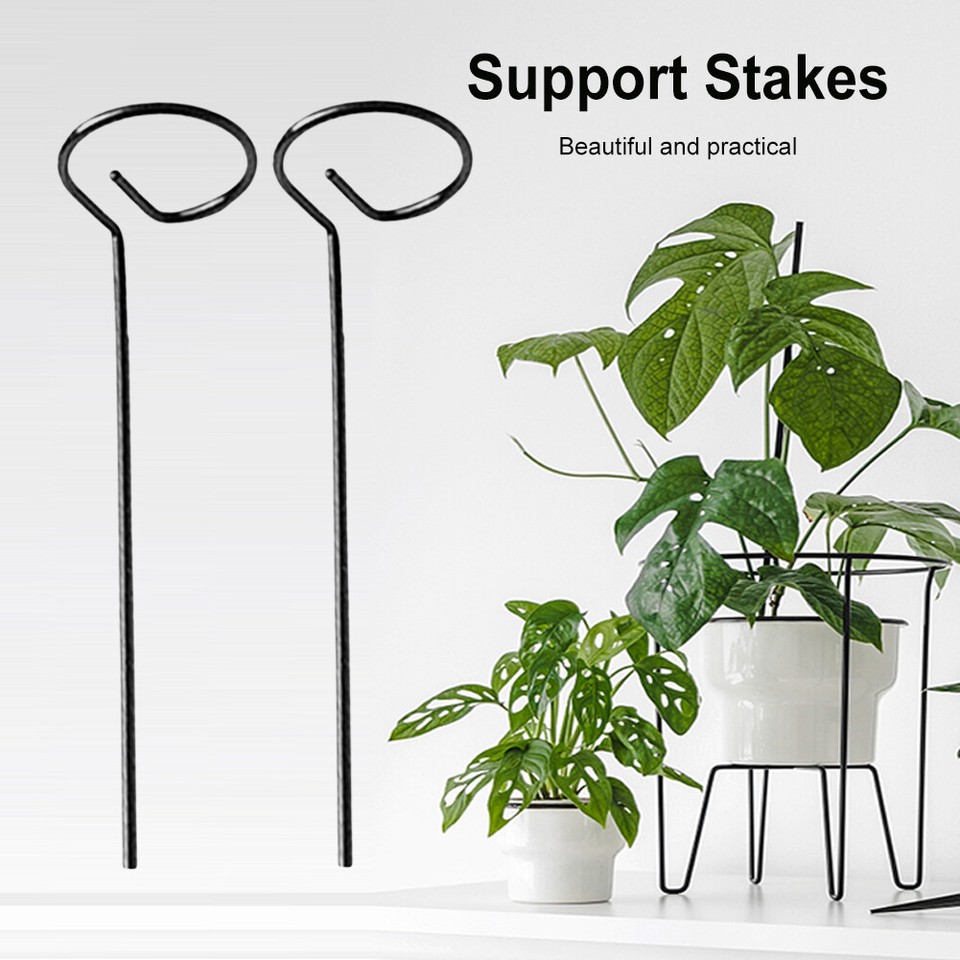 Plant Supports Stake Metal for Peonies Hydrangea 10pcs Plant Bracket ...