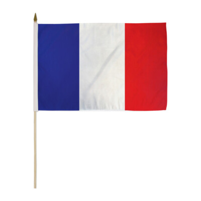 1 Dozen France Stick Flag 12x18in Handheld French Flag | eBay