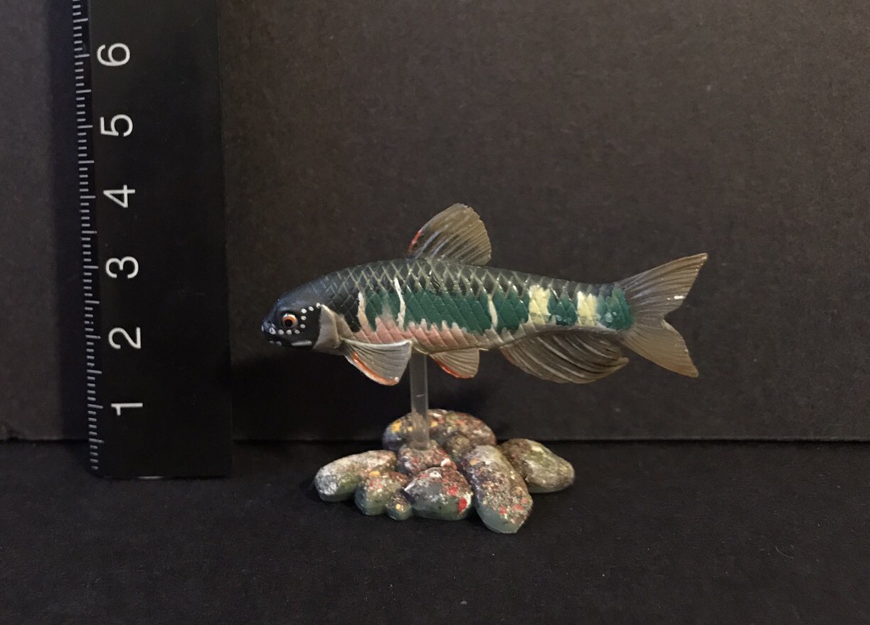 RARE Kaiyodo Yujin Japanese Freshwater Pale Chub Fish Figure | eBay