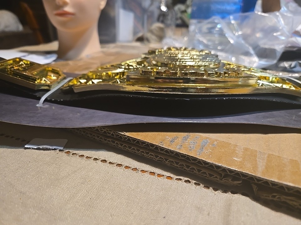 Championship Title Belt Boxing Wrestling UFC Adult Costume WWE AEW ...