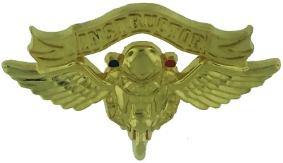 Police Motor wings Instructor uniform pin in Gold | eBay