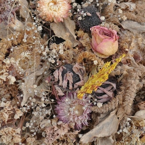 Drowse - Cold Air [New Vinyl LP] 647603399904 | eBay Australia