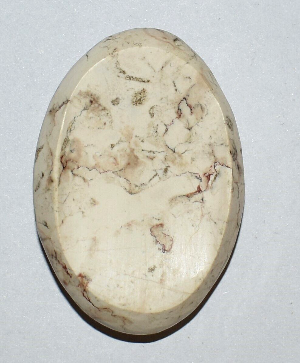 Shellfish Fossil Ancient Seabed Blue Ridge Mountains North Carolina ...