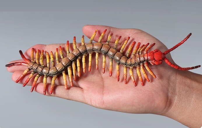 Large Centipede Insect Animal Toy PVC Action Figure Doll Kids Toys ...