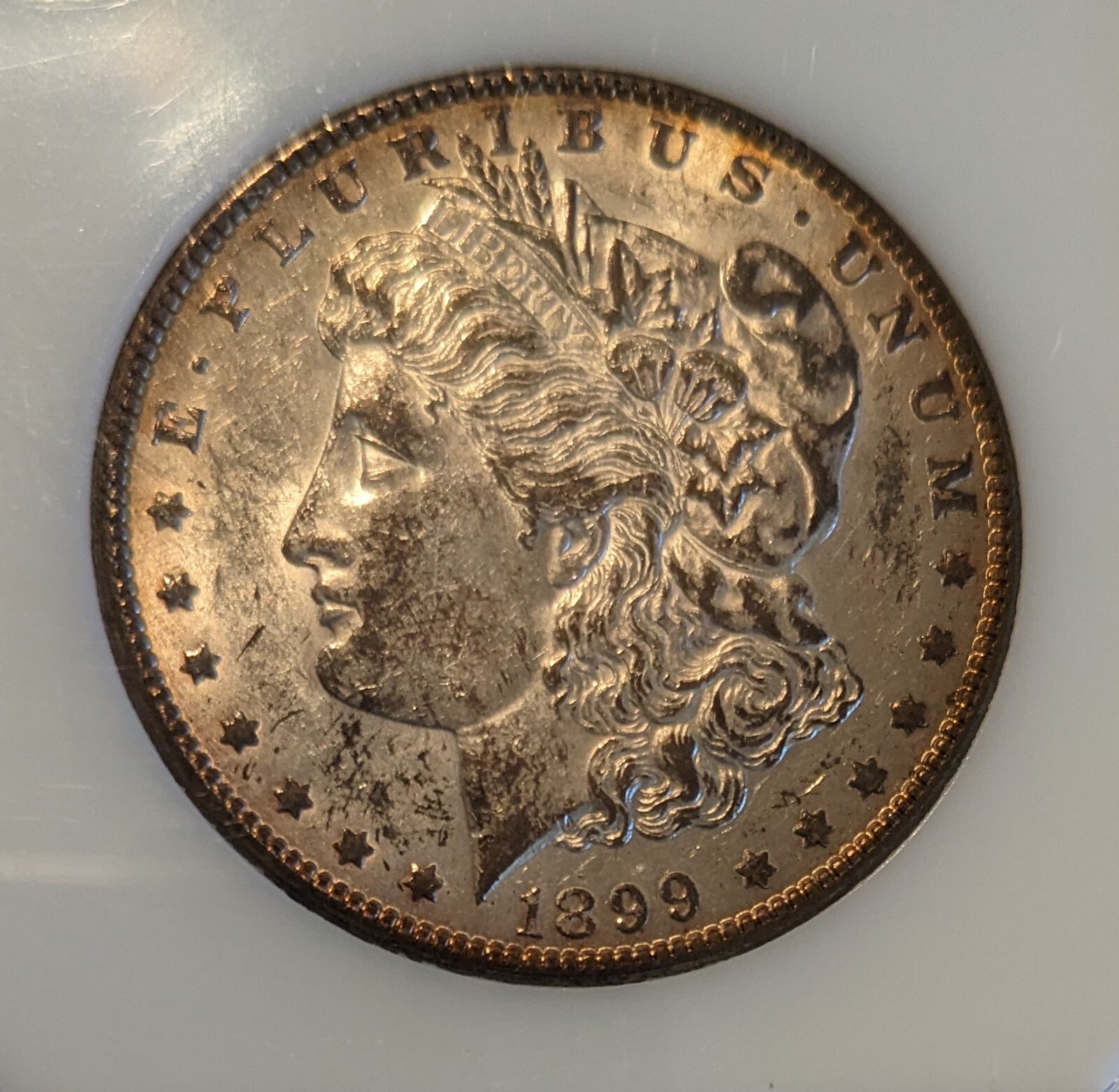 1899 P Morgan Silver Dollar (PCI Slab) Circulated Coin. Ungraded. | eBay