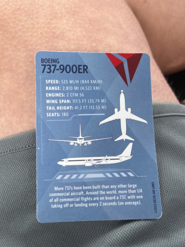 Delta Airlines Boeing 737 Flight Trading Card GOLD VARIANT POSSIBLE 1/1 ...