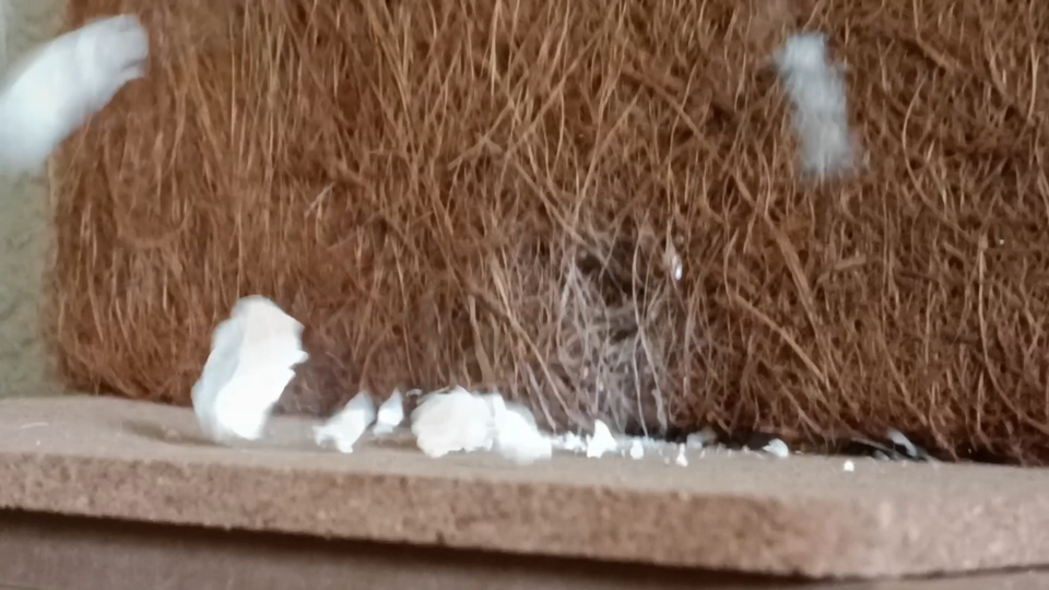 100pcs MiniFigs. Reactive Shooting Air Rifle Targets. Shatter Chalk 4cm ...