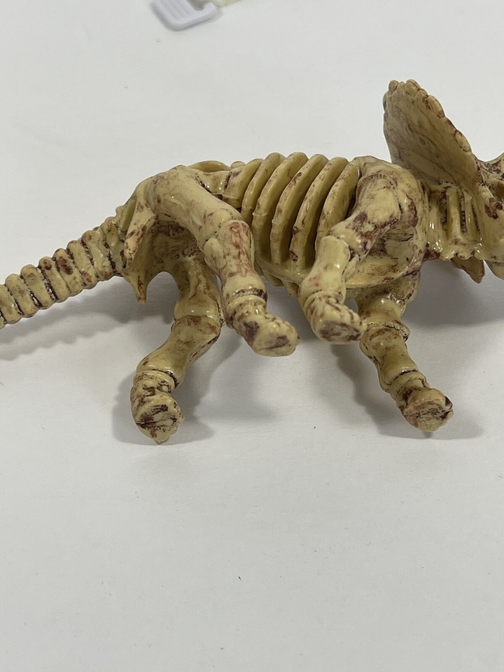 Triceratops Dinosaur Toy Skeleton Plastic Fossil Prehistric Animals ...
