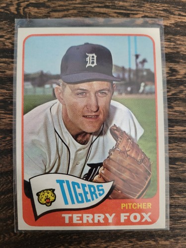1965 TOPPS TERRY FOX 576 BASEBALL DETROIT TIGERS | eBay