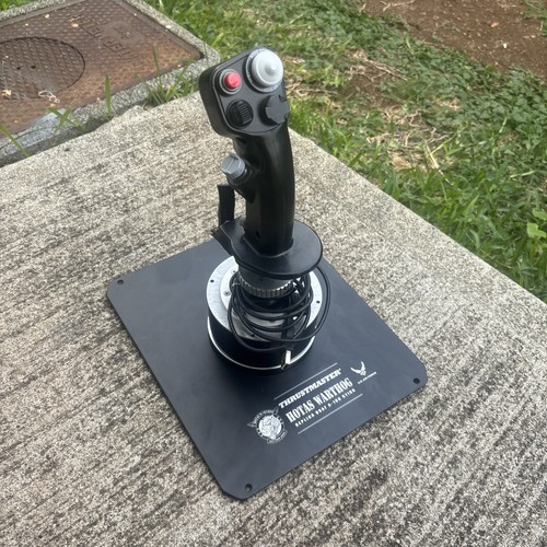 Thrustmaster Warthog Joystick HOTAS and Base USB PC Flight Sim | eBay