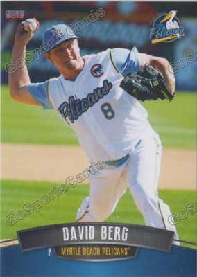 2016 Myrtle Beach Pelicans David Berg Rookie Card Cubs | eBay